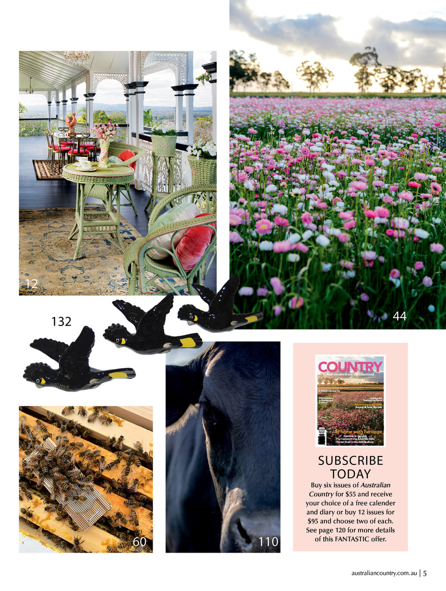 Australian Country Magazine Issue 25.1 | Universal Shop AU