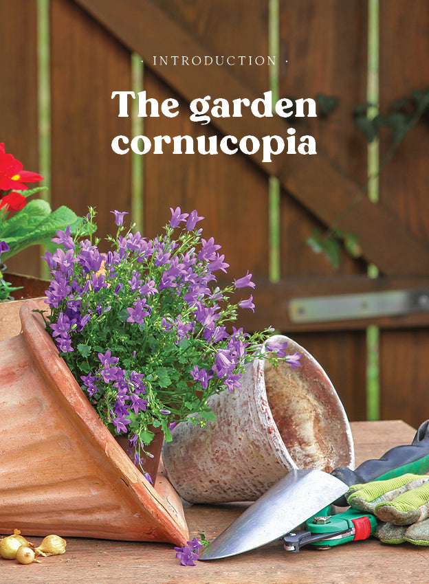 CSIRO Publishing Seasonal Garden for Autumn & Winter | Universal Shop AU