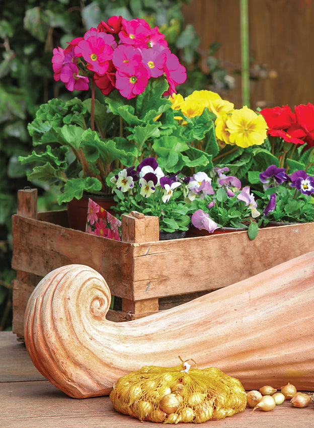 CSIRO Publishing Seasonal Garden for Autumn & Winter | Universal Shop AU