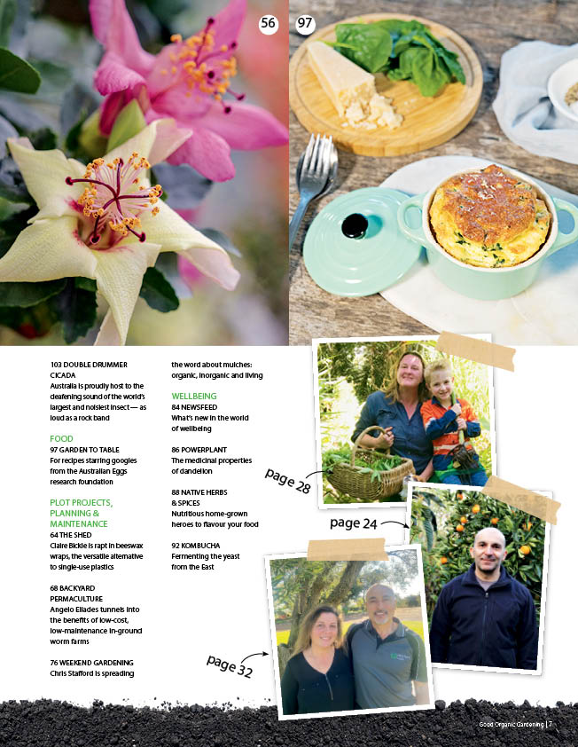 Good Organic Gardening Magazine Issue 134 | Universal Shop AU